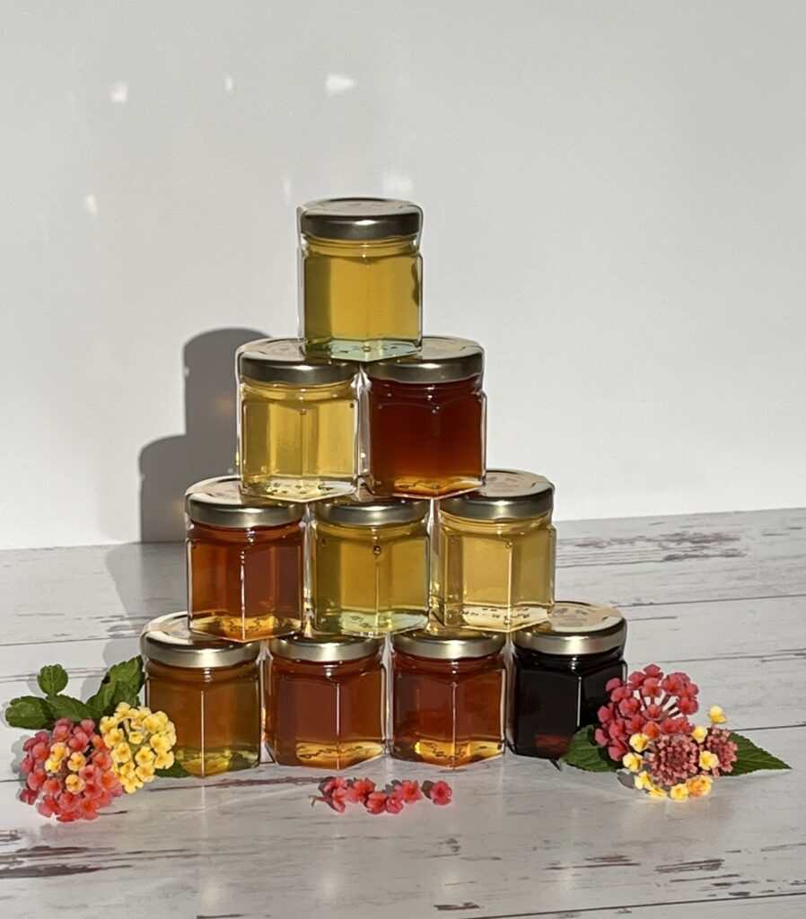 Honey Tasting In a Box | Heavenly Honey