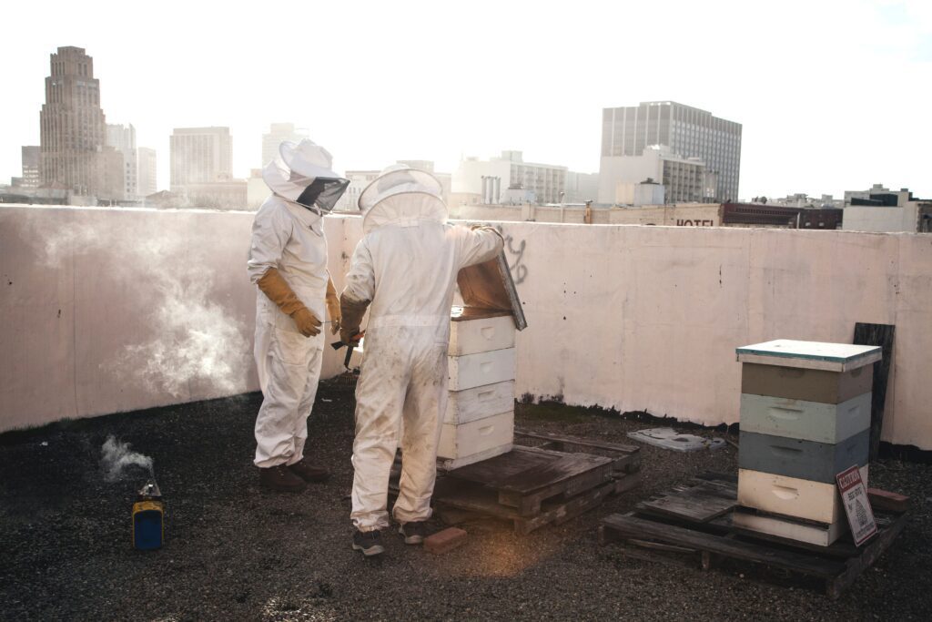 10 Fascinating Facts About Beekeeping | Heavenly Honey